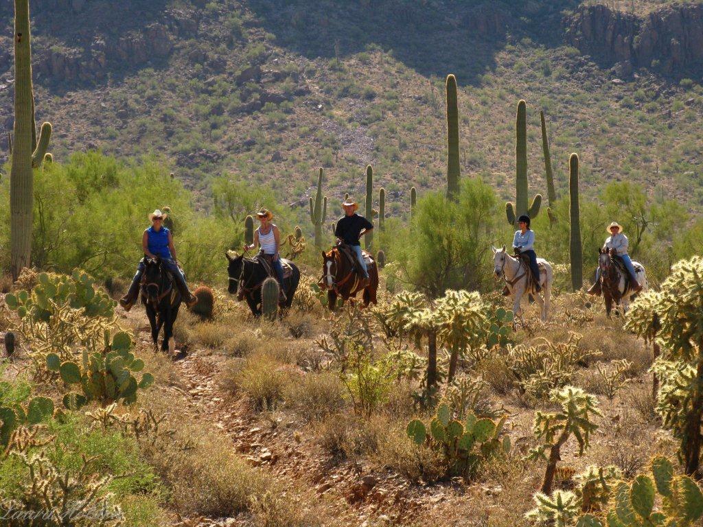 7 Reasons Why an Original Western Adventure Vacation Should Be On Your ...