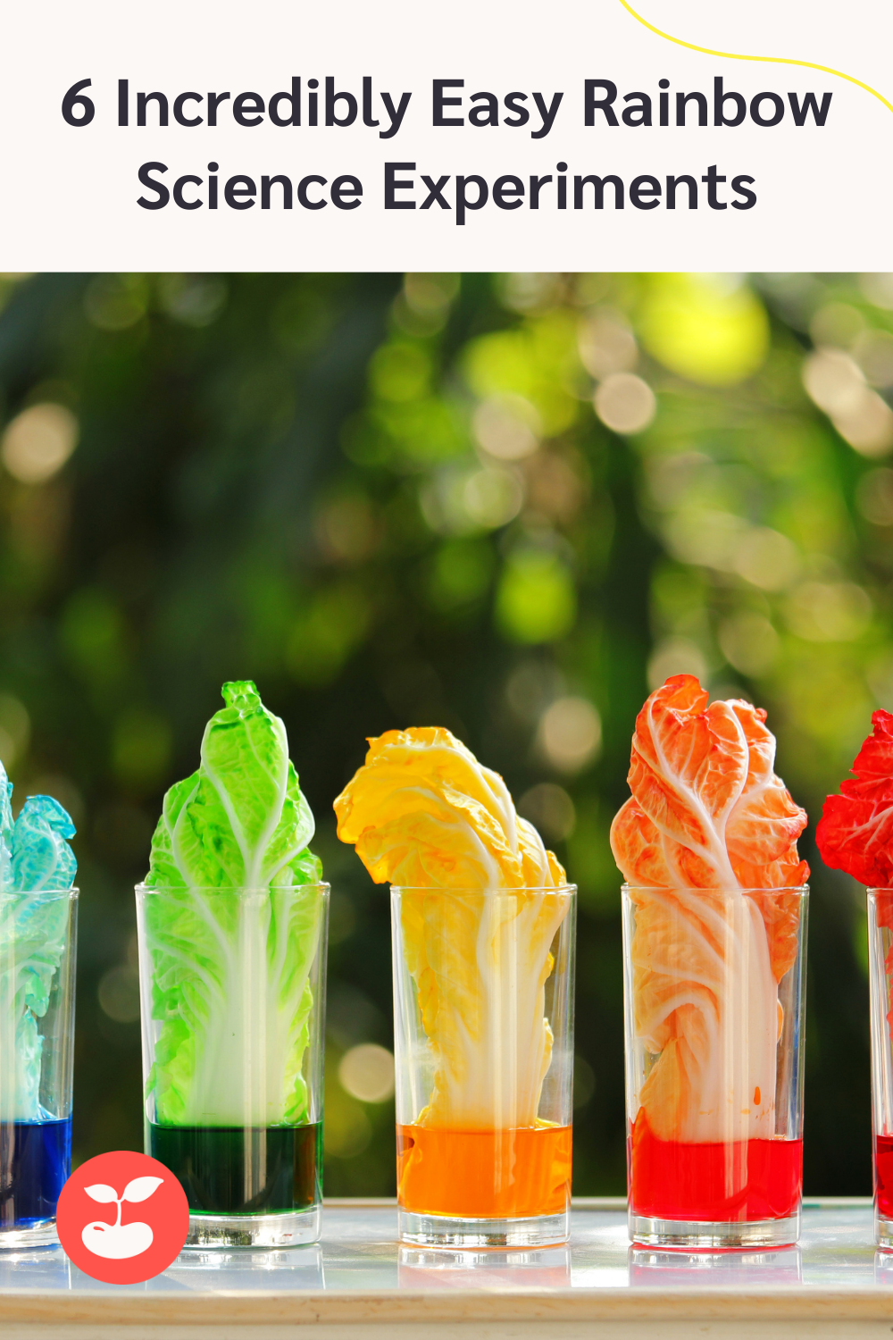 How to Make a Rainbow | Kids' Science Project