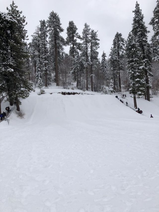 Best Places to Play in the Snow Near Los Angeles, CA