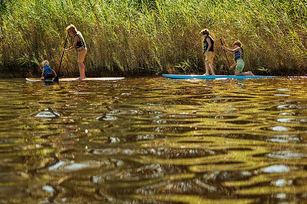 Activities To Help Your Tween Explore Their Passions During Vacation ...