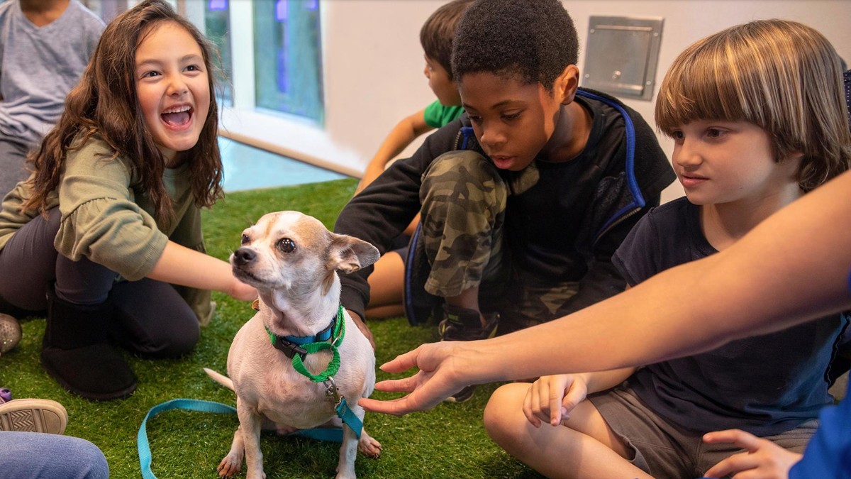 Animal Farms, Zoos & Sanctuaries in Los Angeles | January 2022