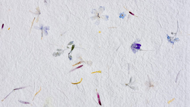 Long-Term Projects for Kids (That'll Keep Them Busy) - Tinybeans