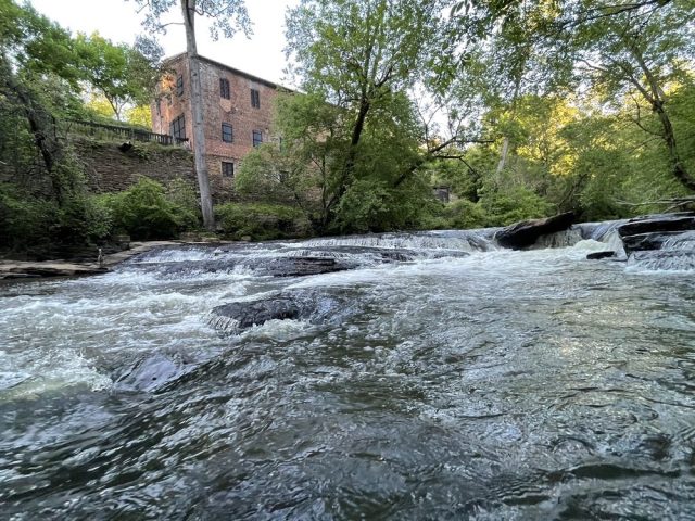 Explore Local: 5 Things to Do in Roswell with Kids - Tinybeans