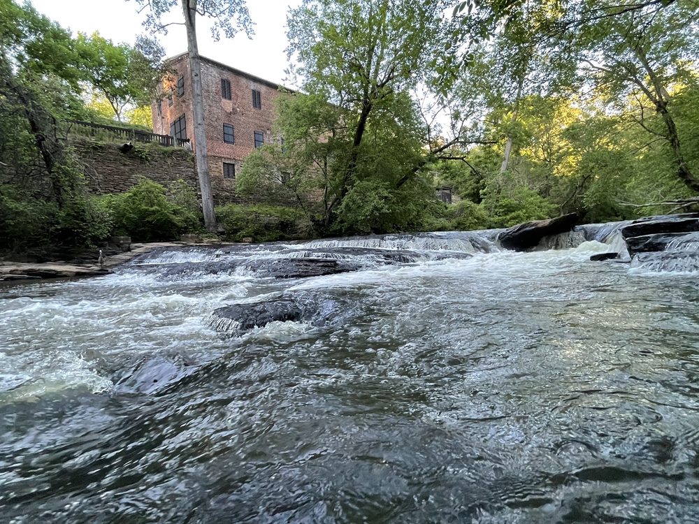 Explore Local: 5 Things to Do in Roswell with Kids - Tinybeans