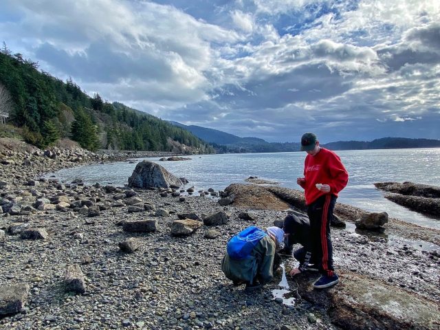 What to Do in Bellingham WA and Whatcom County with Kids