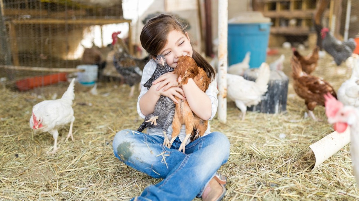 The 12 Best Family-Friendly California Farm Stays to Book Now - Tinybeans