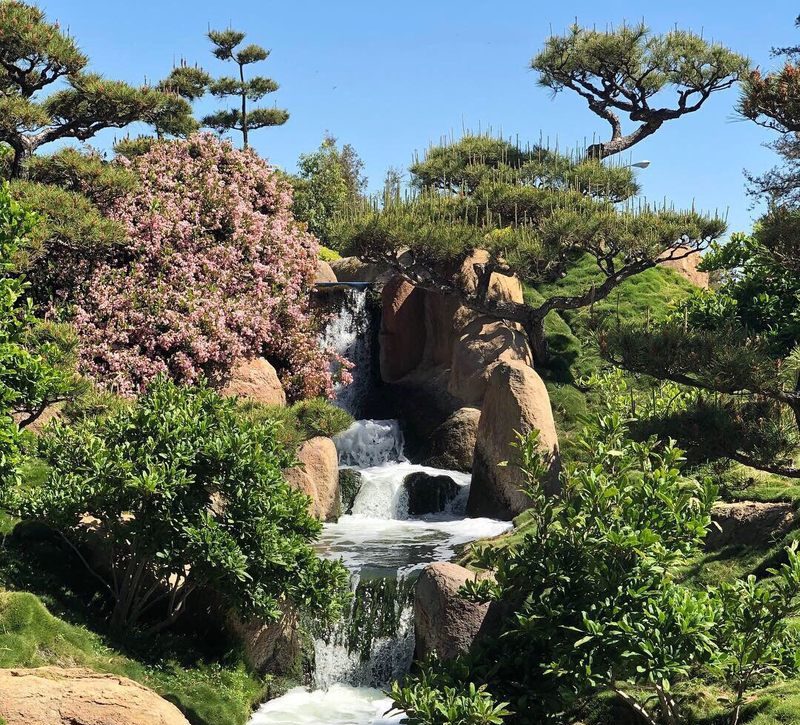 LA Botanical Gardens & Flower Fields to Visit Now (Plus Insider Tips ...