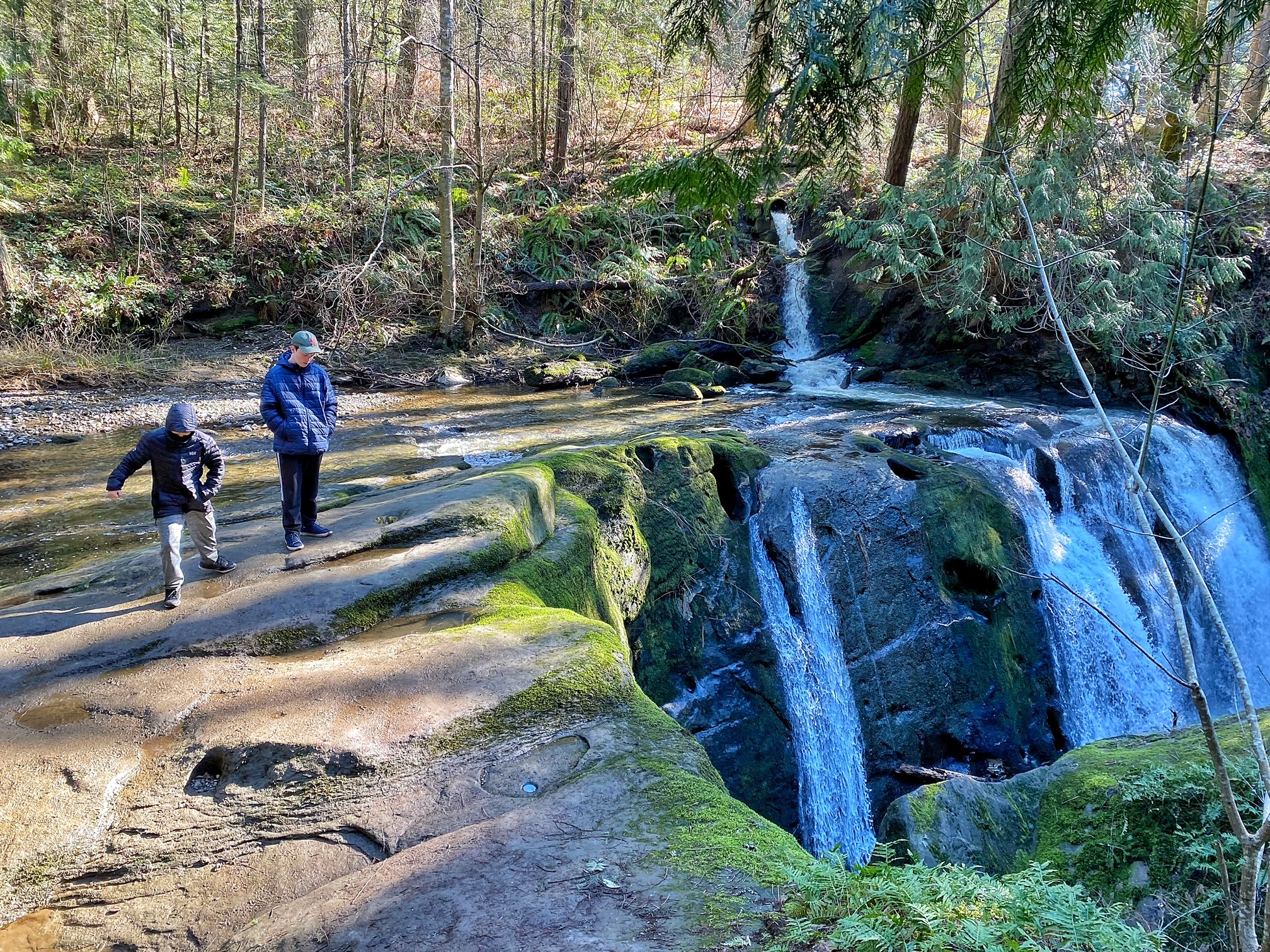 What to Do in Bellingham WA and Whatcom County with Kids