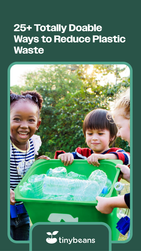 How to Reduce Plastic Waste and Consumption