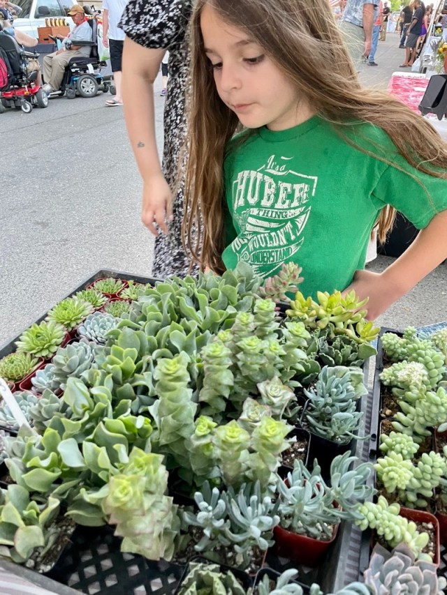 Why Visalia with Kids is the Epic Getaway You've Been Searching For ...