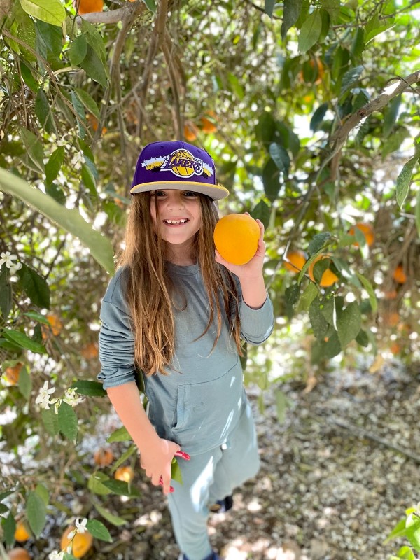 Why Visalia with Kids is the Epic Getaway You've Been Searching For ...