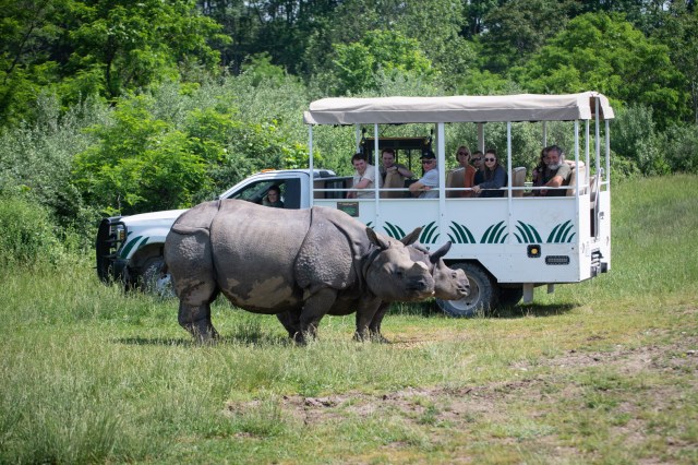 12 Incredible Safari Park Adventures