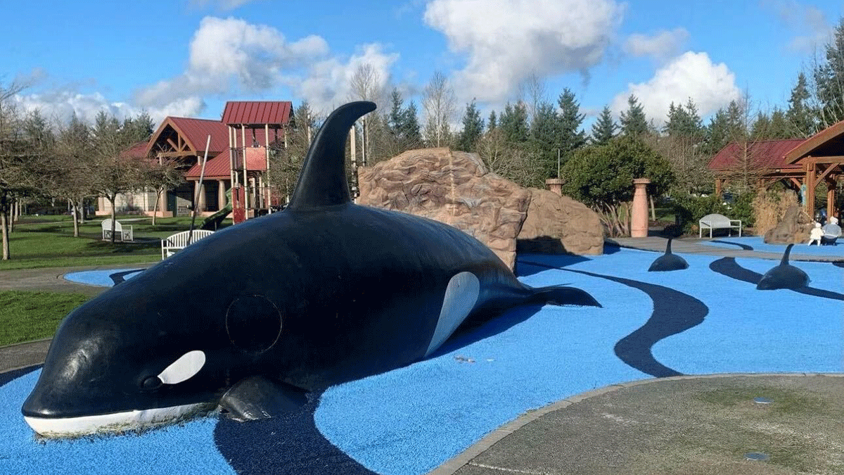 Best Eastside Sprayparks, Beaches & Pools in Seattle - Tinybeans