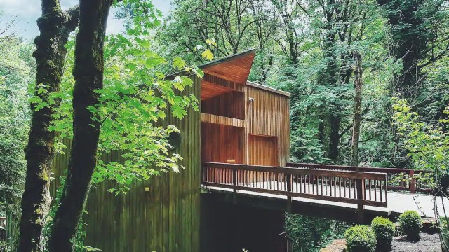 7 Treehouse Rentals Oregon Families Love - Tinybeans