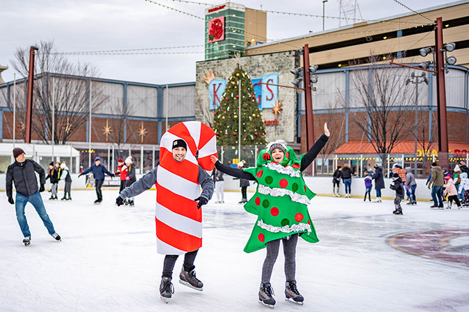 Chicago Wolves Ice Rink in Rosemont - Tinybeans