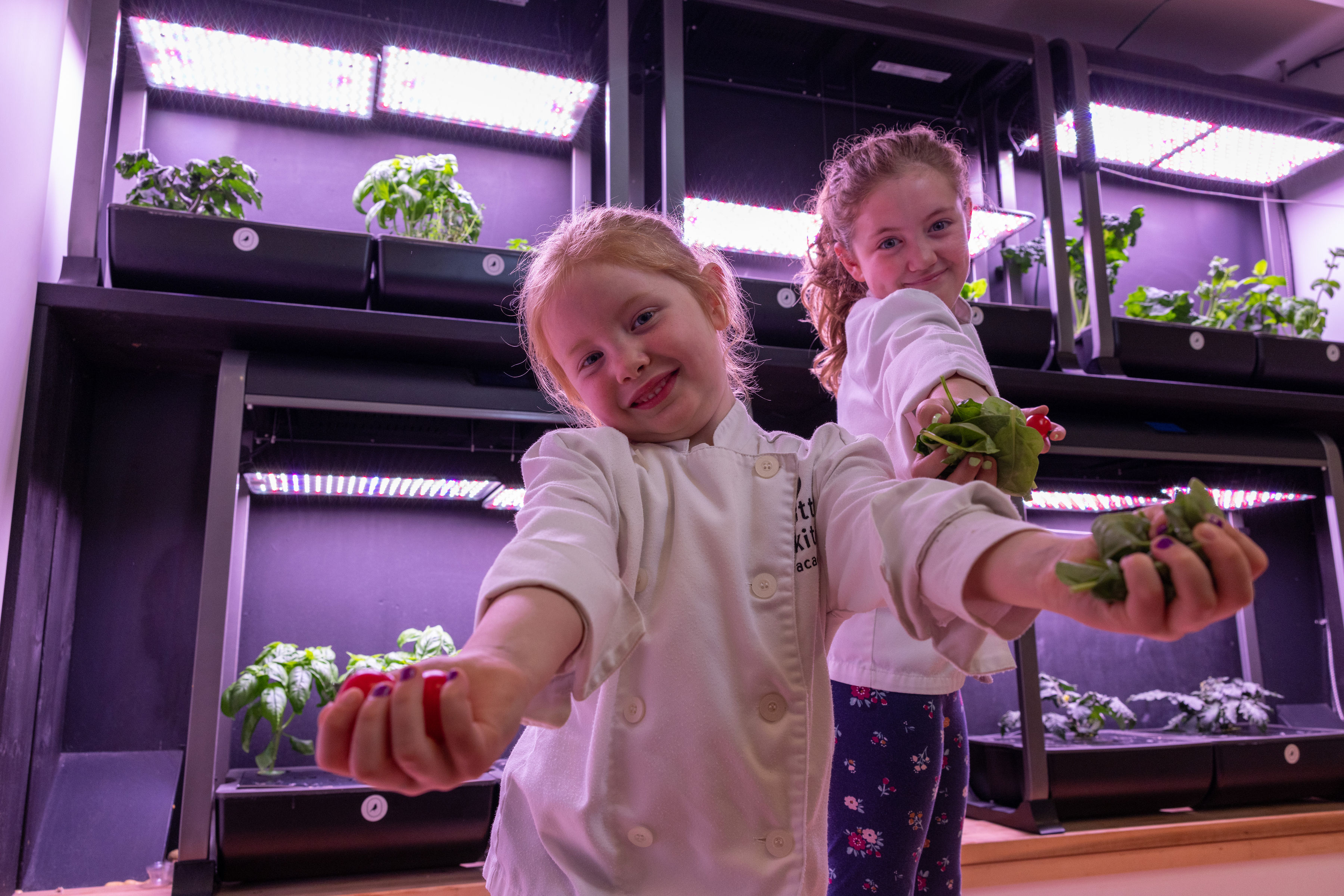 Little Kitchen Academy - Tinybeans