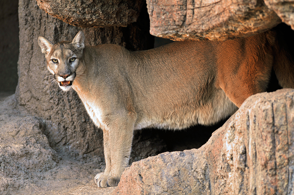 Get Lost in Arizona’s Beauty With These 7 Incredible Experiences ...