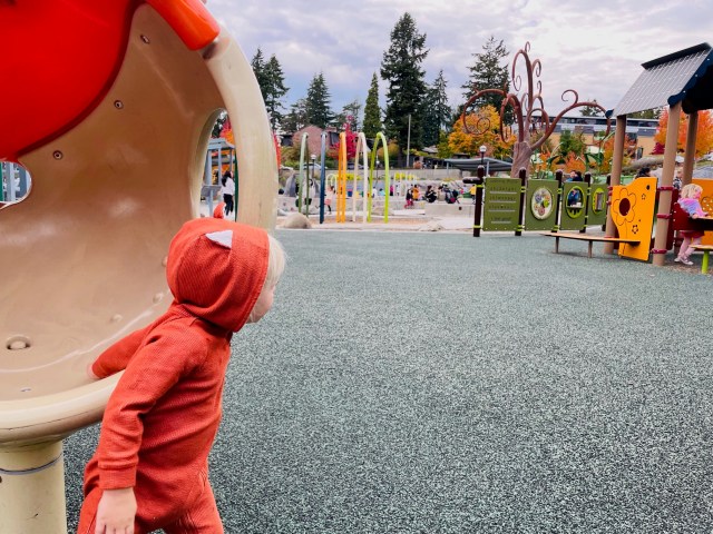 14 Over-the-Top Seattle Playgrounds We Love - Tinybeans