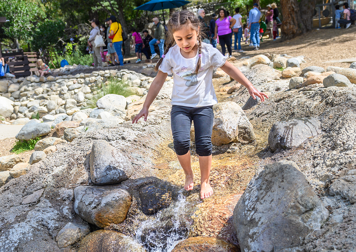 Here’s Where to Go in Pasadena This Summer With the Kids