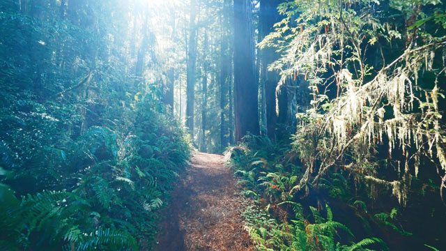 18 Calming TV Shows You Can Put on Before Bedtime - Tinybeans